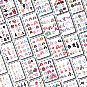 Respiratory System Sticker Bundle Pre-cropped | Sticker Bundle 700 ...
