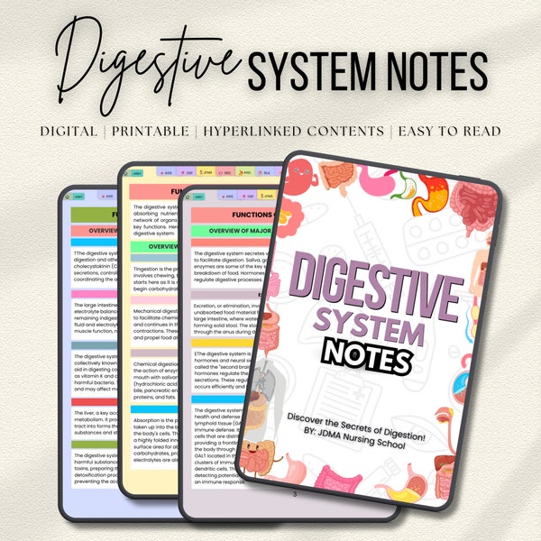 Digestive System - Etsy