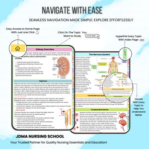 Medical Surgical Bundle Fully Hyperlinked With Audio Book | Updated 25 ...