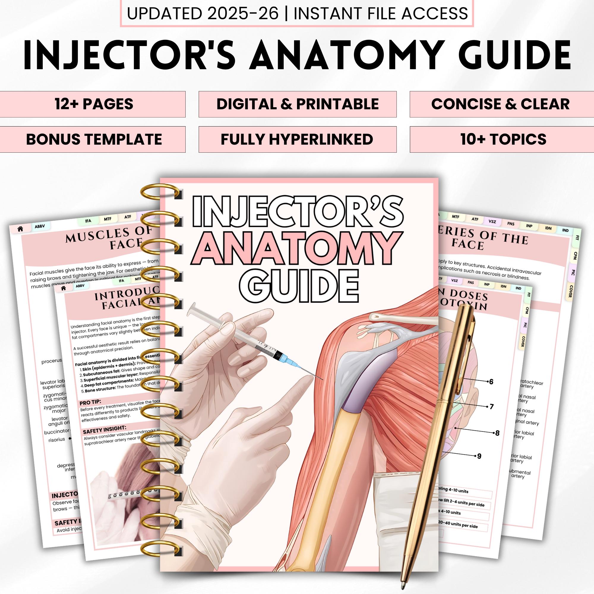 Aesthetic Nurse Injector Anatomy Guide | Facial Anatomy for Injectors ...