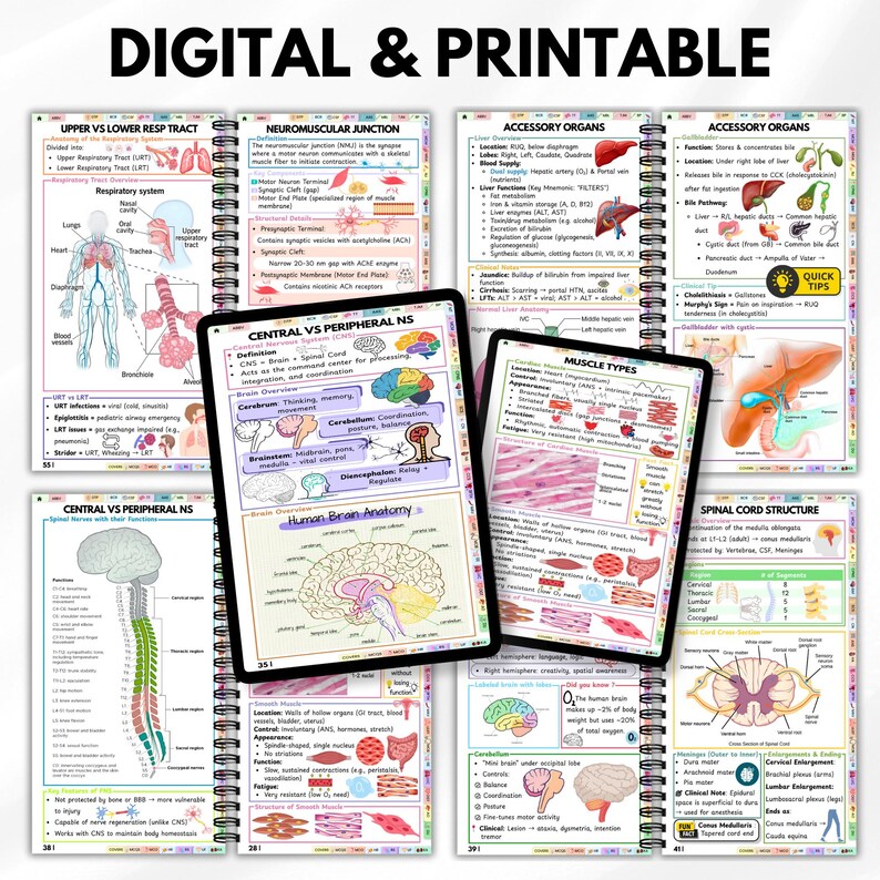 Anatomy and Physiology Pocket Guide, Medical Study Guide, Nursing ...