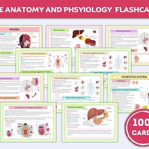 Anatomy & Physiology Bundle With Flashcards and Stickers | Anatomy ...