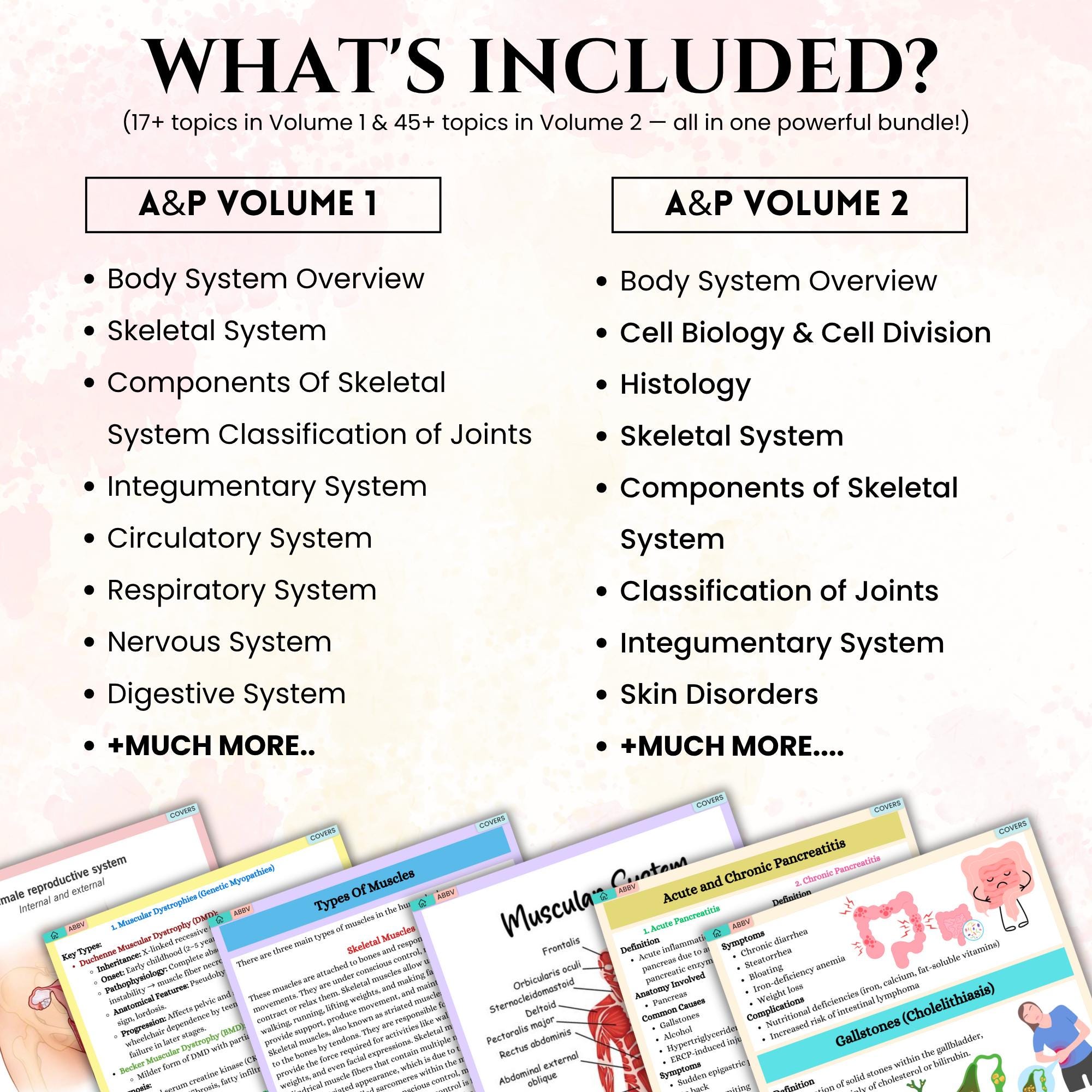 Anatomy & Physiology Mega Bundle With Flashcards Stickers Quizzes and ...