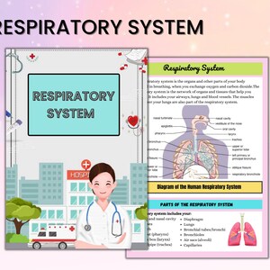 Respiratory System Bundle | Med Surg Nursing Study | Instant Download ...