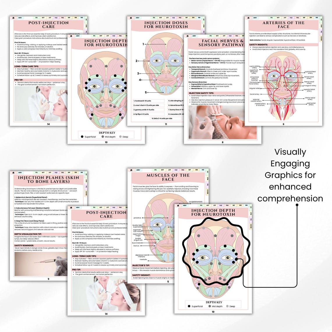 Aesthetic Nurse Injector Anatomy Guide | Facial Anatomy for Injectors ...