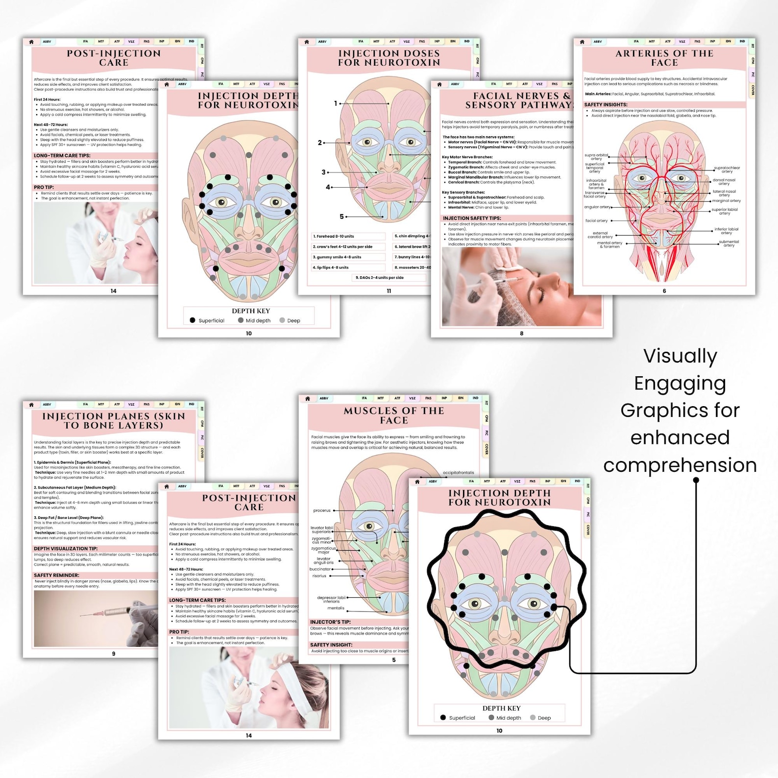 Aesthetic Nurse Injector Anatomy Guide | Facial Anatomy for Injectors ...