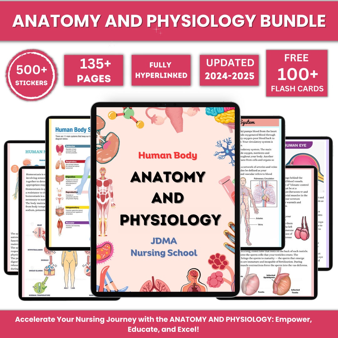 Anatomy & Physiology Bundle With Flashcards and Stickers Anatomy Study ...