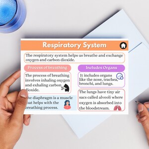 Respiratory System Flashcards | Med Surg Nursing Study | Study Notes ...