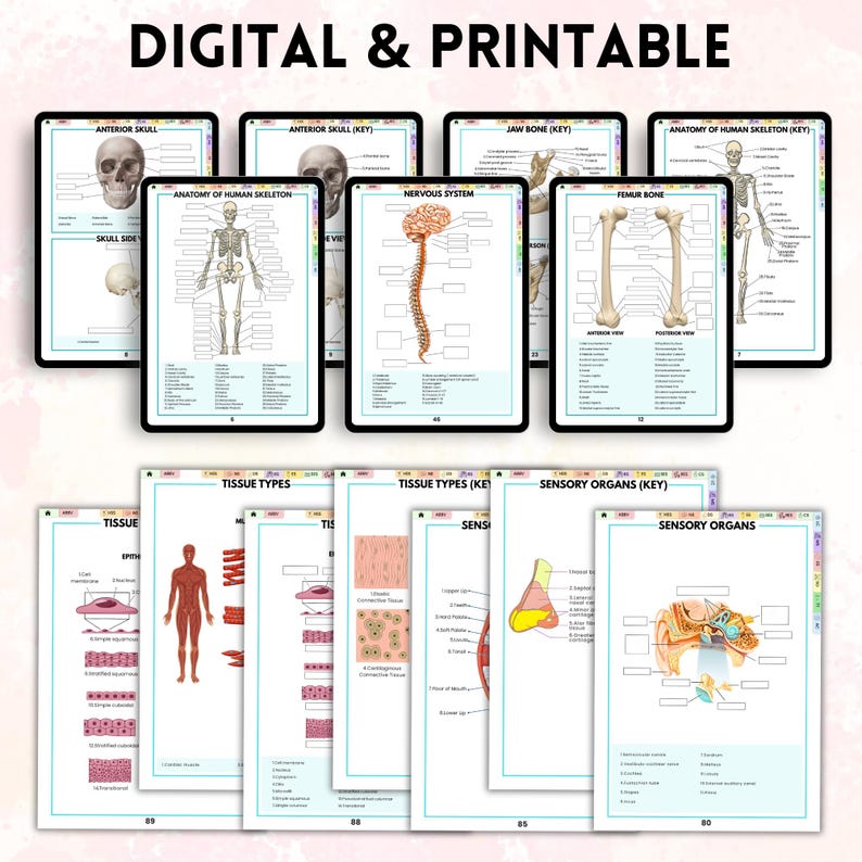 Anatomy Labeling Workbook | Human Body Systems Printable | Nursing ...