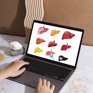 Digestive System Svg’s 1000 Bundle | Human Body SVG | Nursing Stickers ...