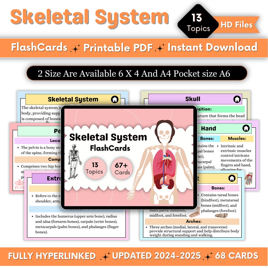 Skeletal Flashcards Skeletal System Flashcards Study Guide Printable ...