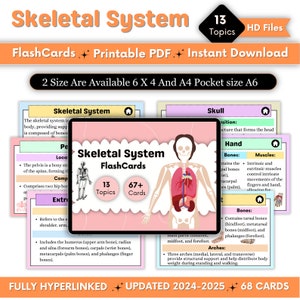 Skeletal Flashcards Skeletal System Flashcards Study Guide Printable ...