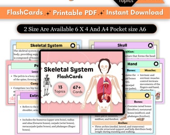 The Skeletal System Study Guide - Etsy Canada