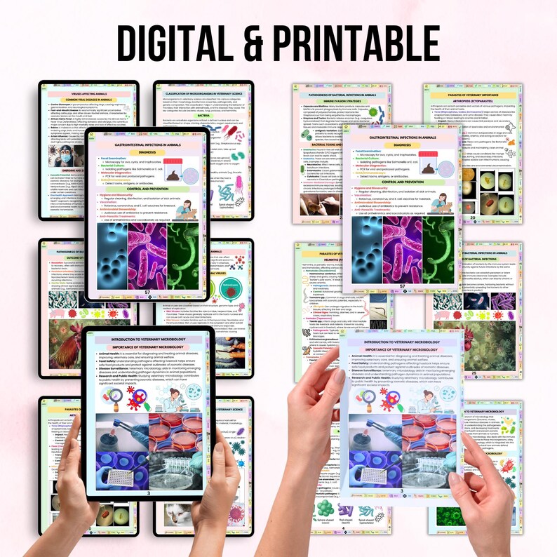Veterinary Microbiology Bundle Fully Hyperlinked, Bonus Stickers Cover ...