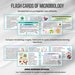 Microbiology Bundle Fully Hyperlinked Medical School Notes Flashcards ...