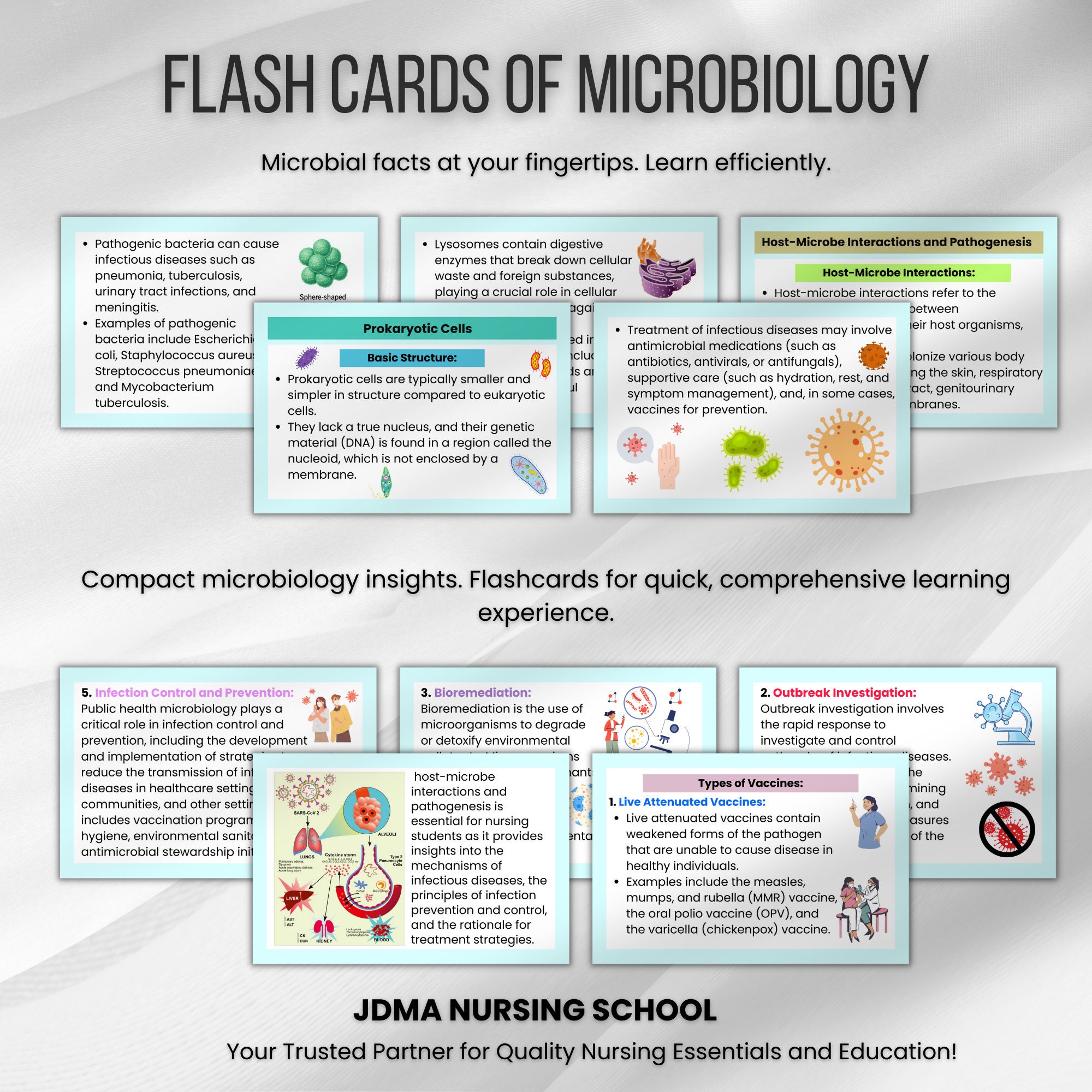 Microbiology Bundle Fully Hyperlinked | Medical School Notes ...