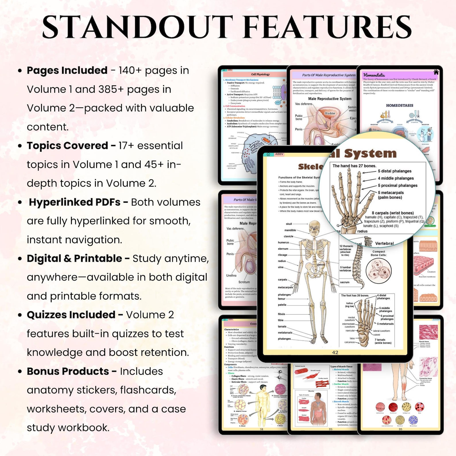 Anatomy & Physiology Mega Bundle With Flashcards Stickers Quizzes and ...