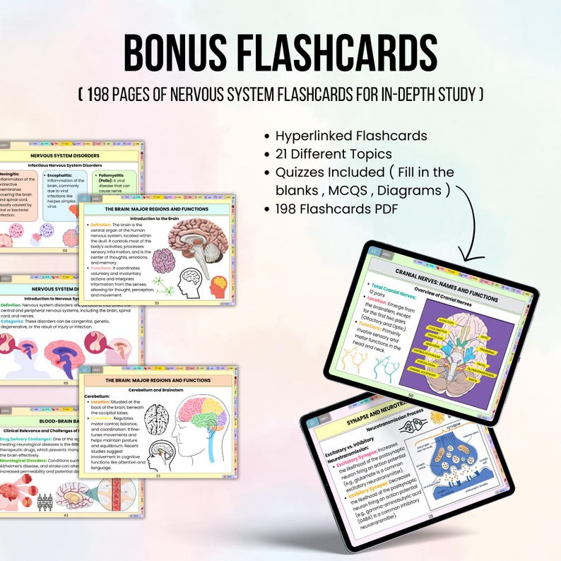 Nervous System Notes Hyperlinked, Bonus Flashcards Stickers Study Tips ...