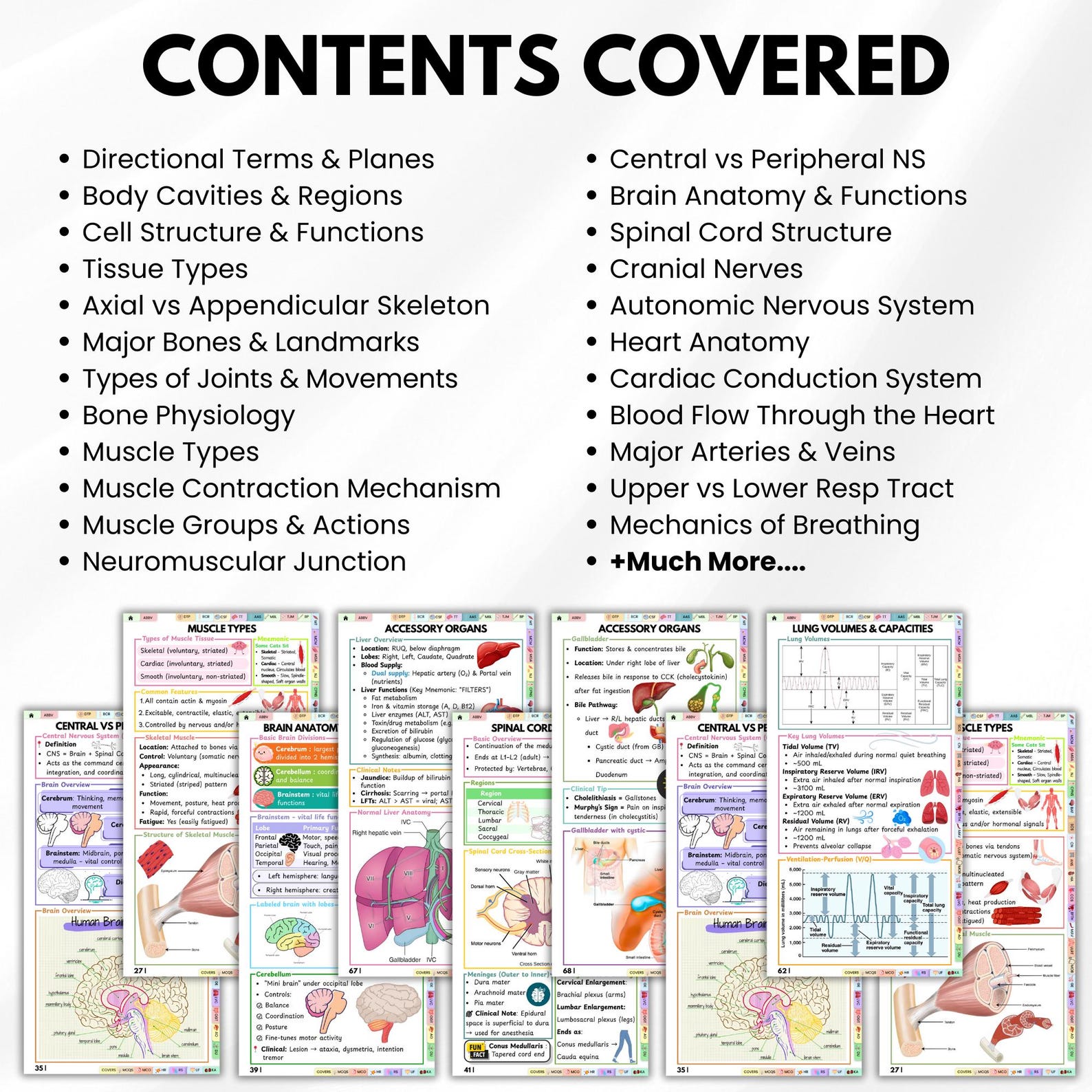 Anatomy and Physiology Pocket Guide, Medical Study Guide, Nursing ...
