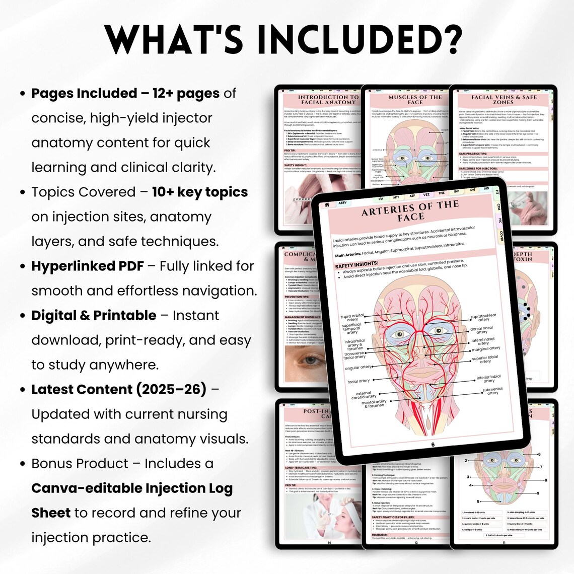 Aesthetic Nurse Injector Anatomy Guide | Facial Anatomy for Injectors ...
