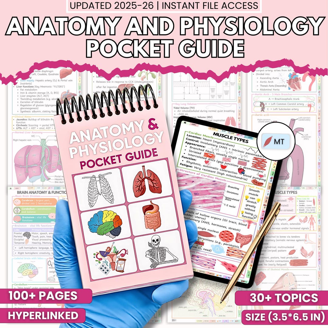 Anatomy and Physiology Pocket Guide 2025-26, Medical Study Guide ...