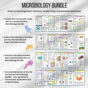Microbiology Bundle Fully Hyperlinked | Medical School Notes ...