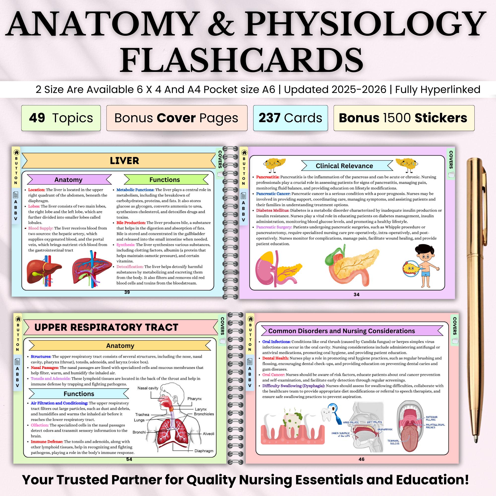 Anatomy & Physiology Flashcards 49 Topics or 235+pages With Free Cover ...