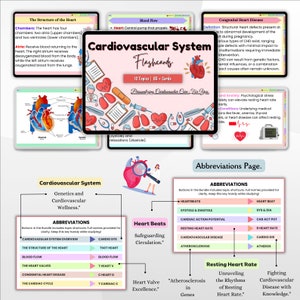 Cardiovascular System Flashcards Hyperlinked PDF | Nursing School ...