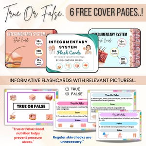 Integumentary System Flashcards Hyperlinked | Human Body Flashcard ...