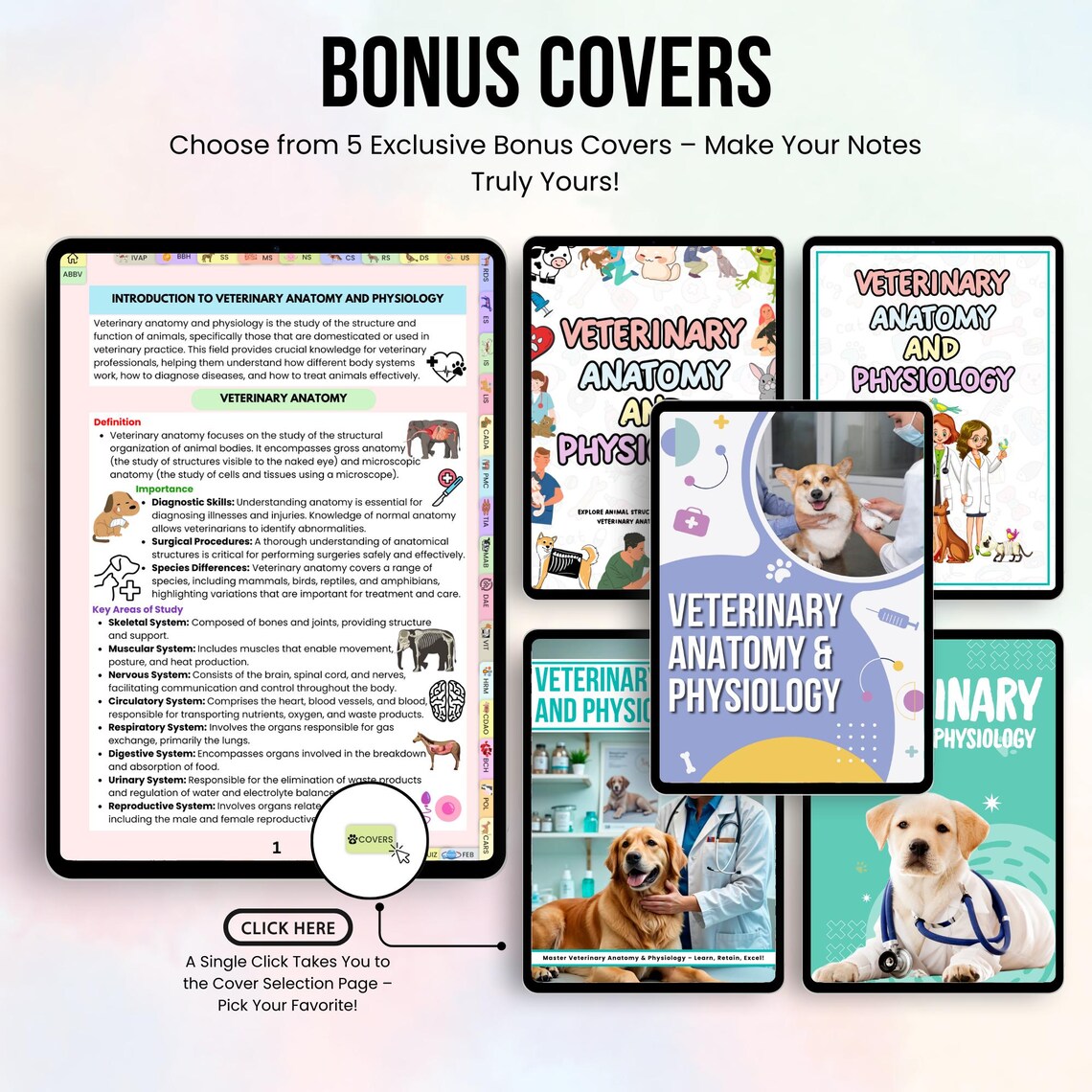 168+ Veterinary Anatomy & Physiology Bundle With Hyperlinked, Anatomy ...