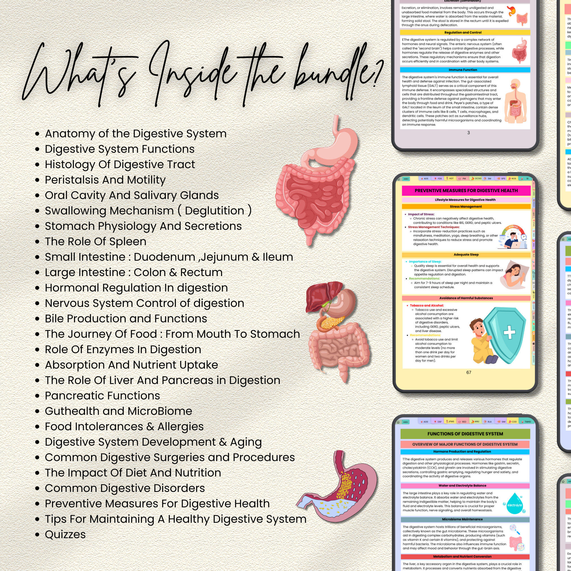 Digestive System Bundle With Flashcards, Svg’s, Quiz or Sticker | Human ...