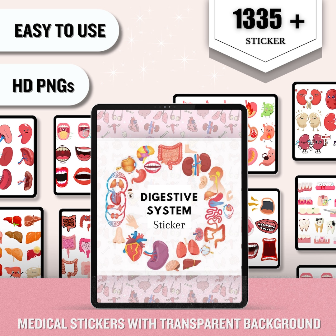Digestive System Sticker | Human Body Stickers | Nursing Stickers ...