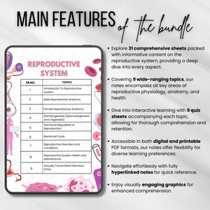 Reproductive System Notes Fully Hyperlinked 30+ Sheets | Study Guide ...