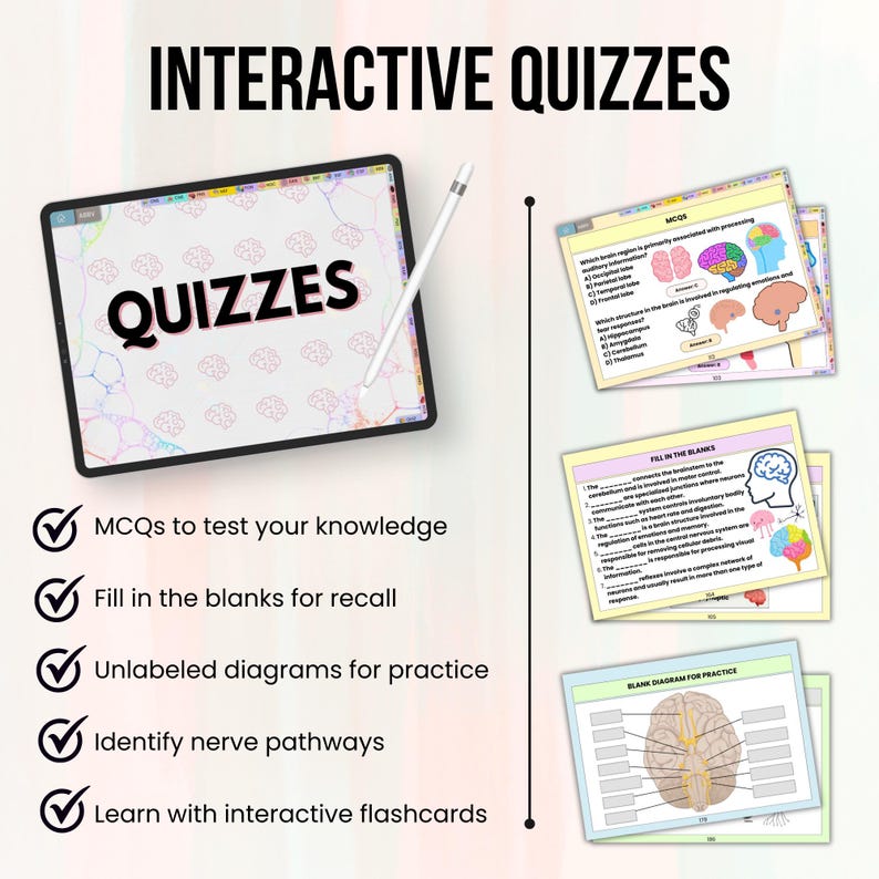 Nervous System Flashcards Hyperlinked, Med Surg Notes, Anatomy of Brain ...