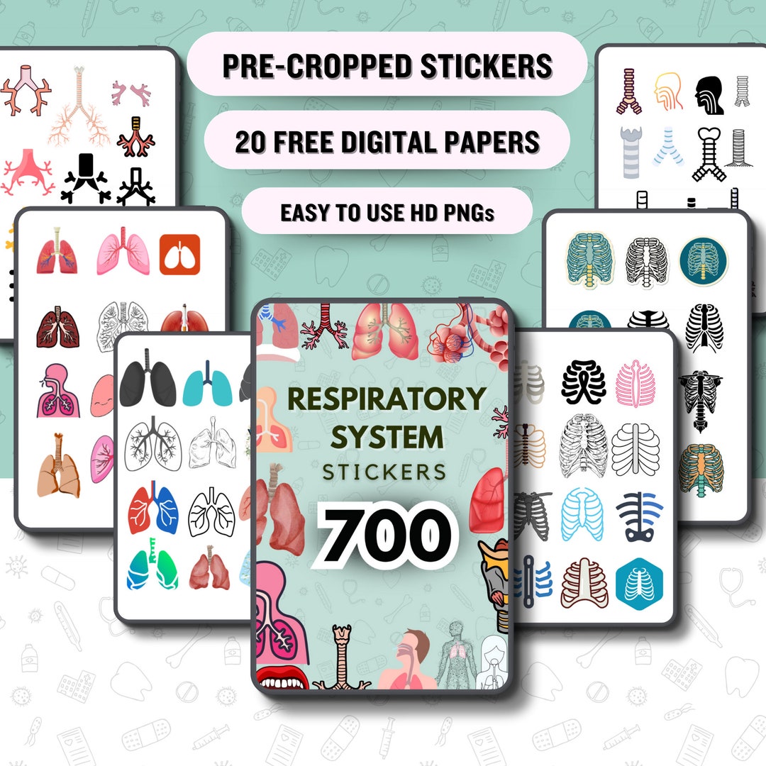 Respiratory System Sticker Bundle Pre-cropped | Sticker Bundle 700 ...