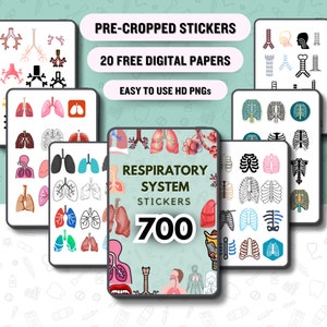 Respiratory System Sticker Bundle Pre-cropped | Sticker Bundle 700 ...