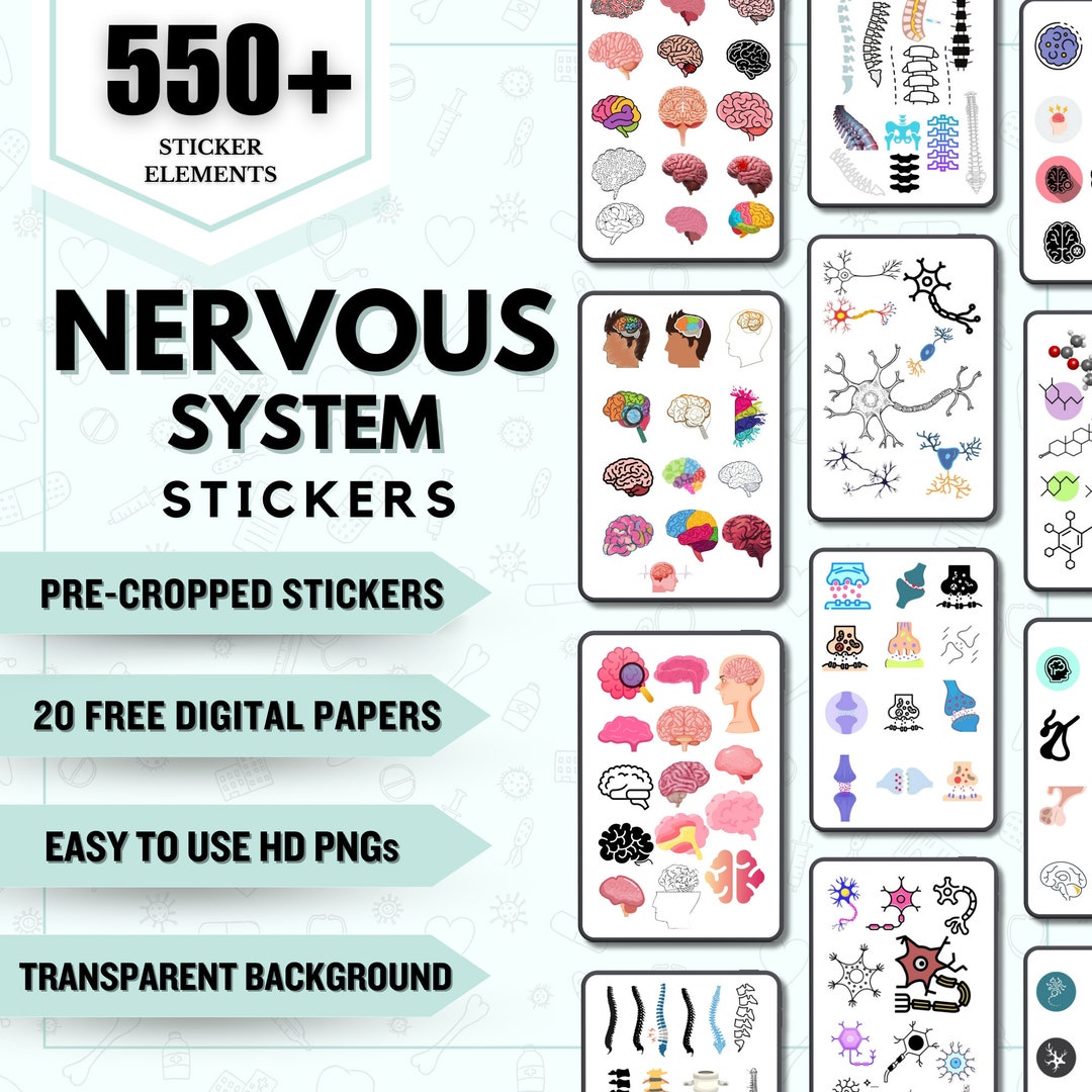 The Nervous System Stickers | Nursing Study Guide | Goodnotes Stickers ...