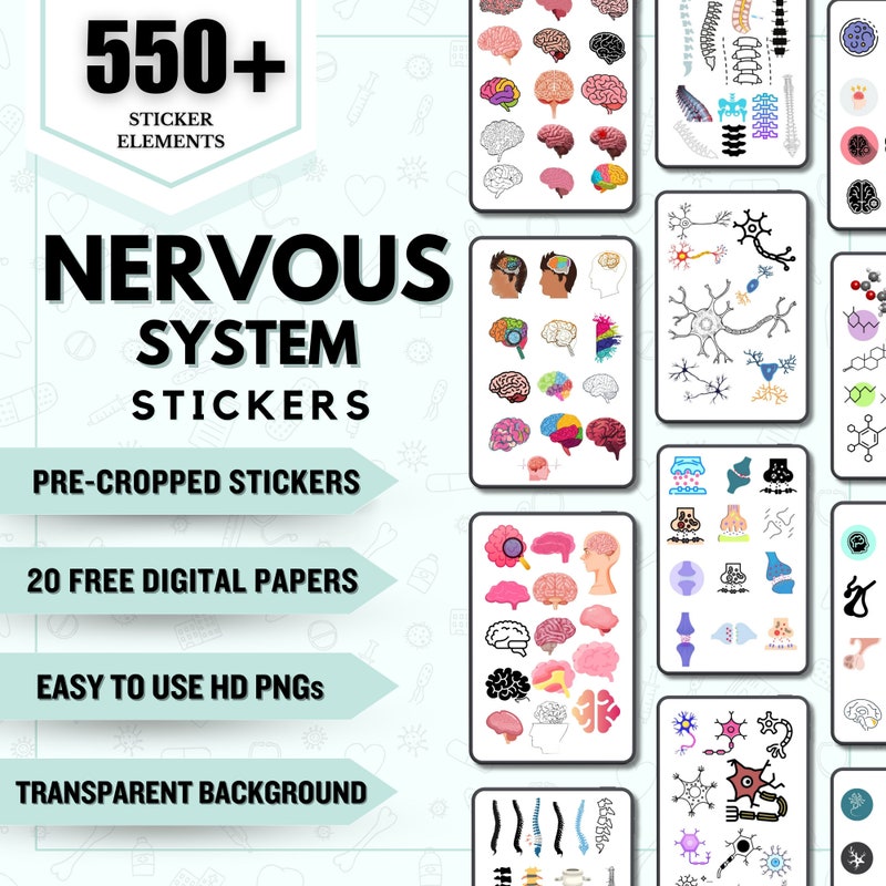 Funny Neurology Stickers - Etsy