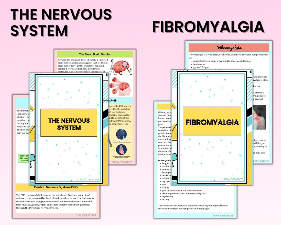 Neurological System | Neuro Bundle Notes | Med Surg Notes | Pritnable ...