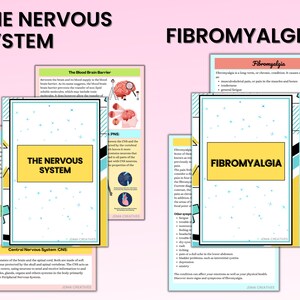 Neurological System | Neuro Bundle Notes | Med Surg Notes | Pritnable ...