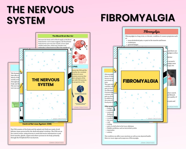 Neurological System Neuro Bundle Notes Med Surg Notes - Etsy