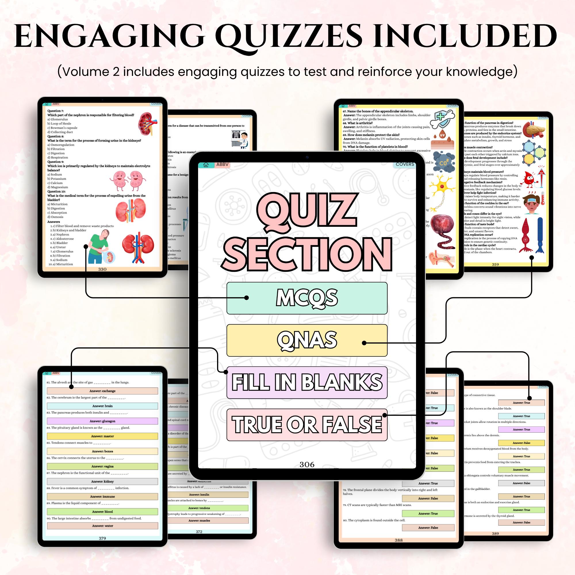 Anatomy & Physiology Mega Bundle With Flashcards Stickers Quizzes and ...