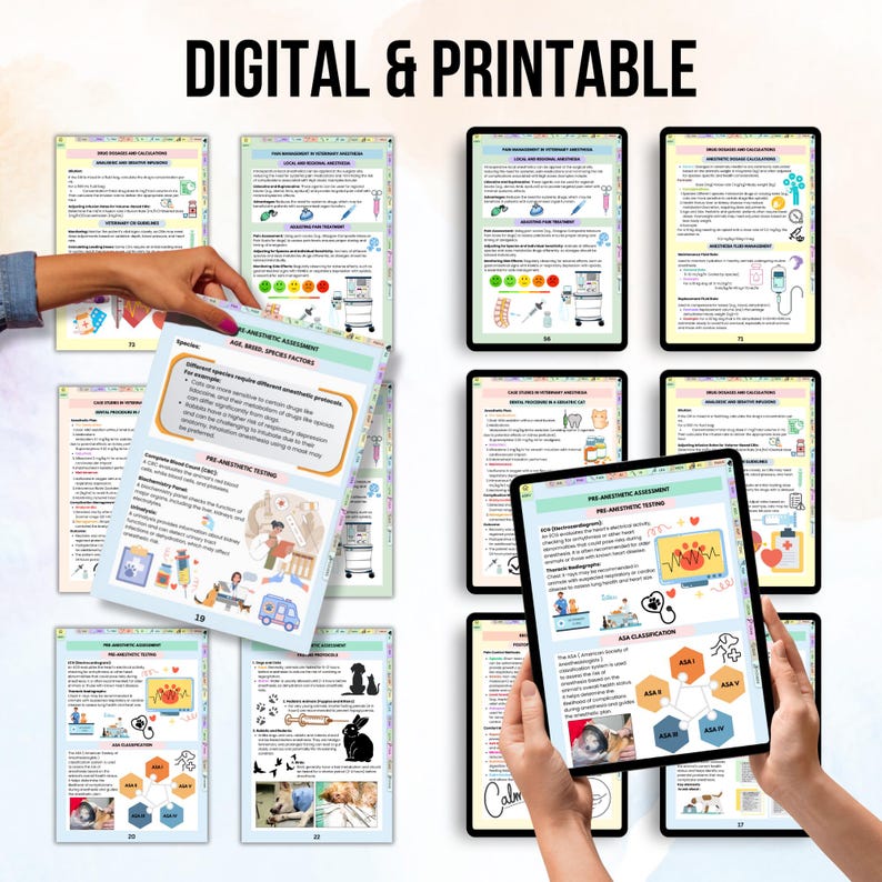 21+ Anesthesia and Sedation Notes Hyperlinked, Vet Med Study Guide ...