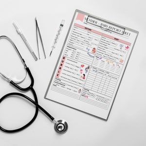 Mother Baby Report Sheet | 15 Pages Printable or Editable | Nurse ...