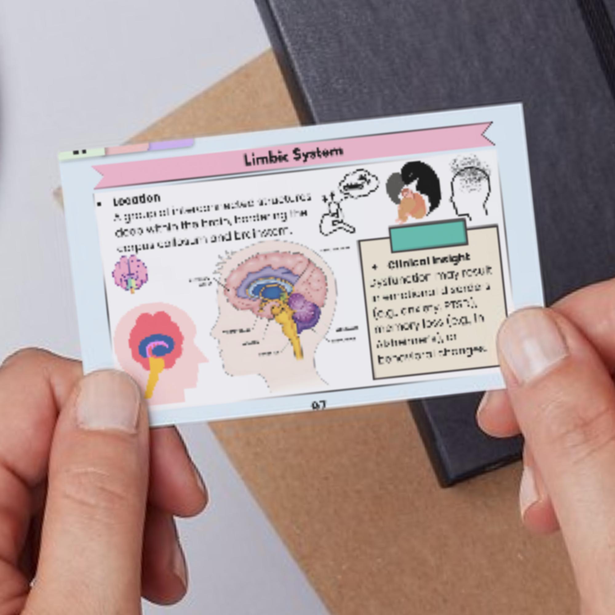 Anatomy Brain Flashcards Hyperlinked Bundle, Anatomy and Physiology ...