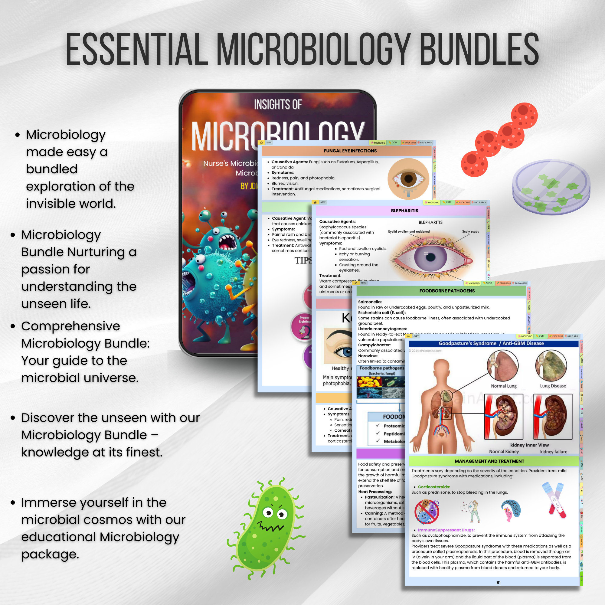 Microbiology Bundle Fully Hyperlinked | Medical School Notes ...