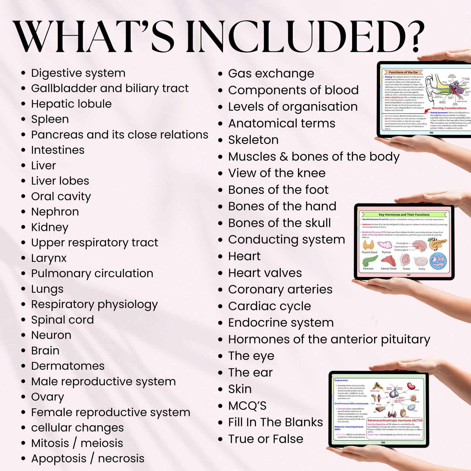 Anatomy & Physiology Flashcards 49 Topics or 235+pages With Free Cover ...