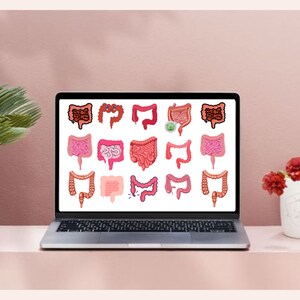 Digestive System Sticker | Human Body Stickers | Nursing Stickers ...