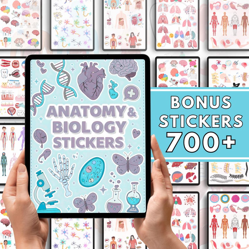 Anatomy & Physiology Cheat Sheet | Anatomy and Physiology Study Guide ...