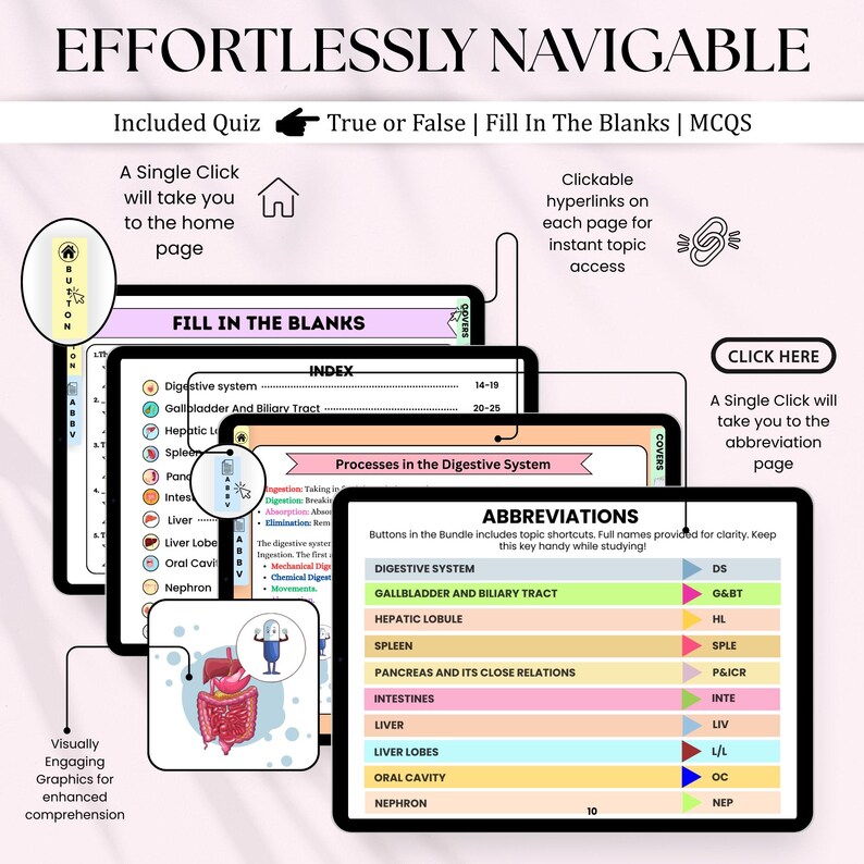 Anatomy & Physiology Flashcards 49 Topics or 235+pages With Free Cover ...